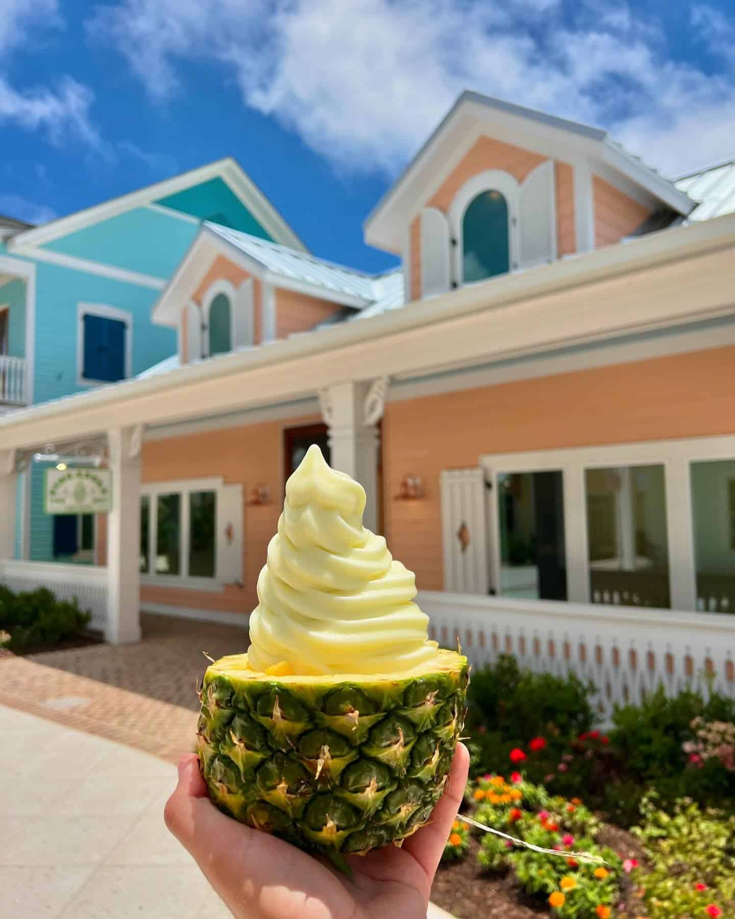 The Pineapple Hut - Broadway At The Beach